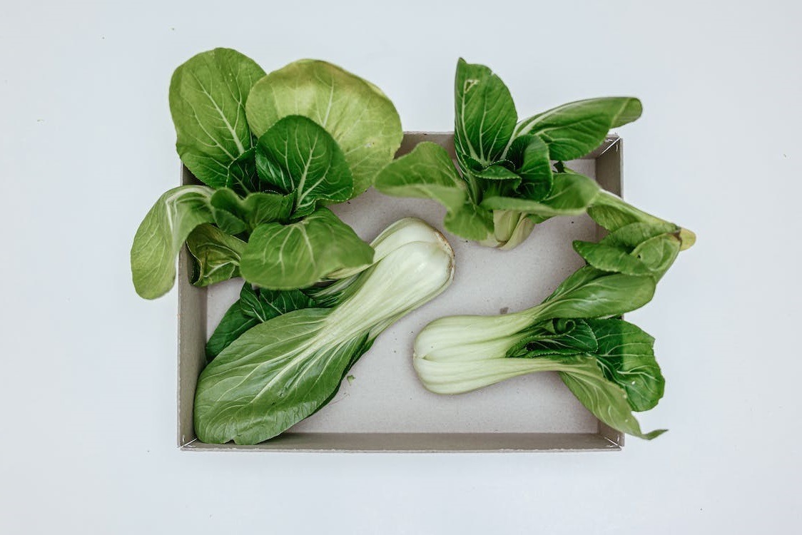 What is the English Word for Pechay? — PlantWorksNYC