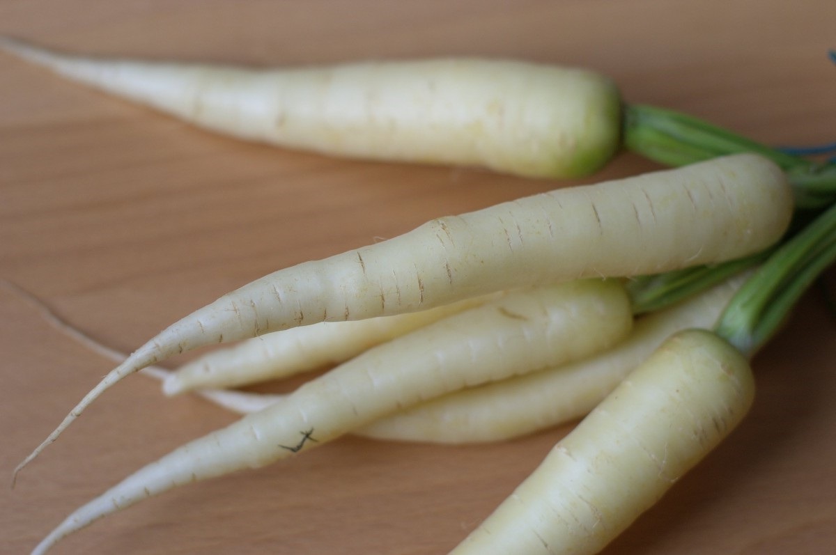 5 Best Vegetables to Grow in the Philippines — PlantWorksNYC