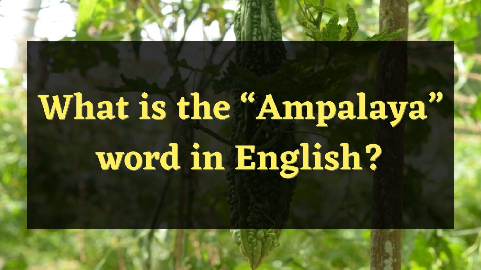 What is the “Ampalaya” word in English? — PlantWorksNYC