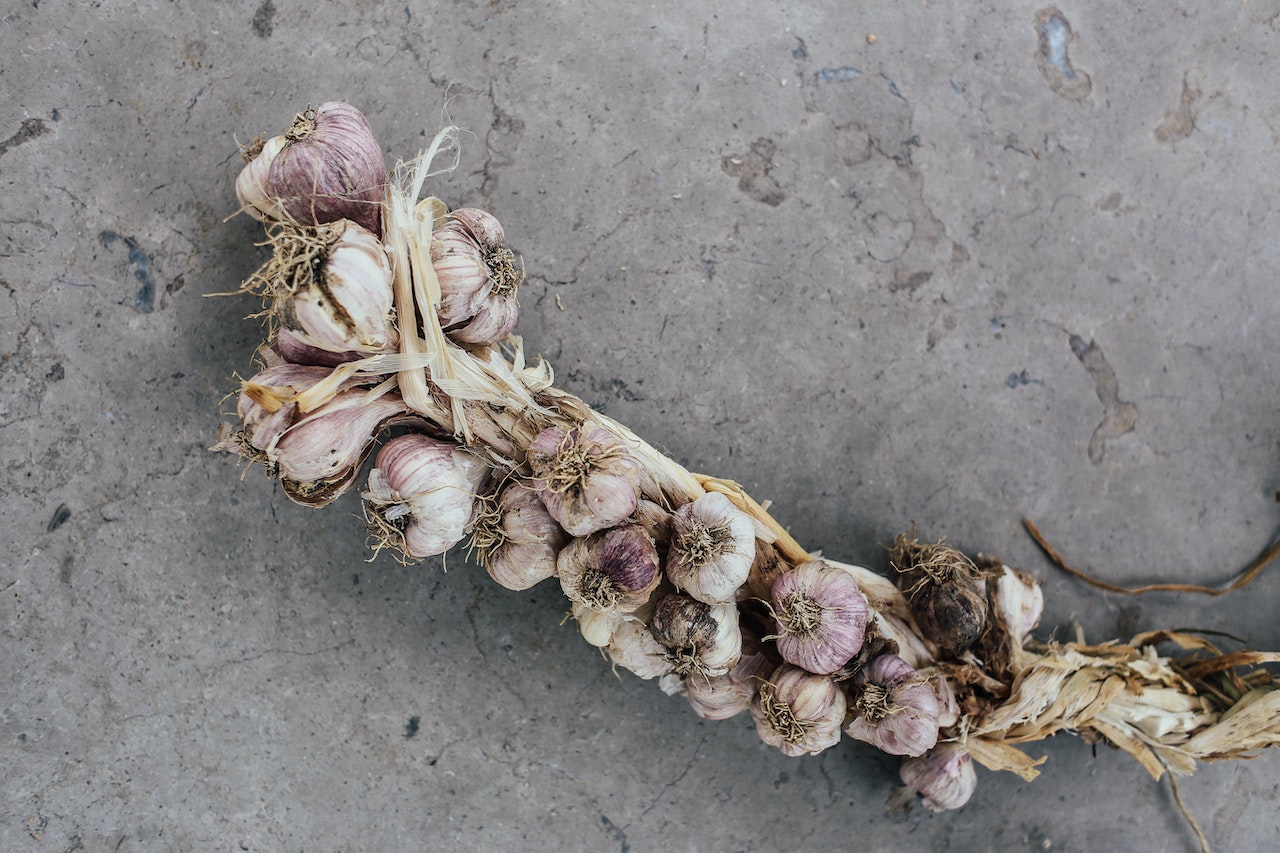 Why Do I Have Small Garlic Bulbs? — PlantWorksNYC