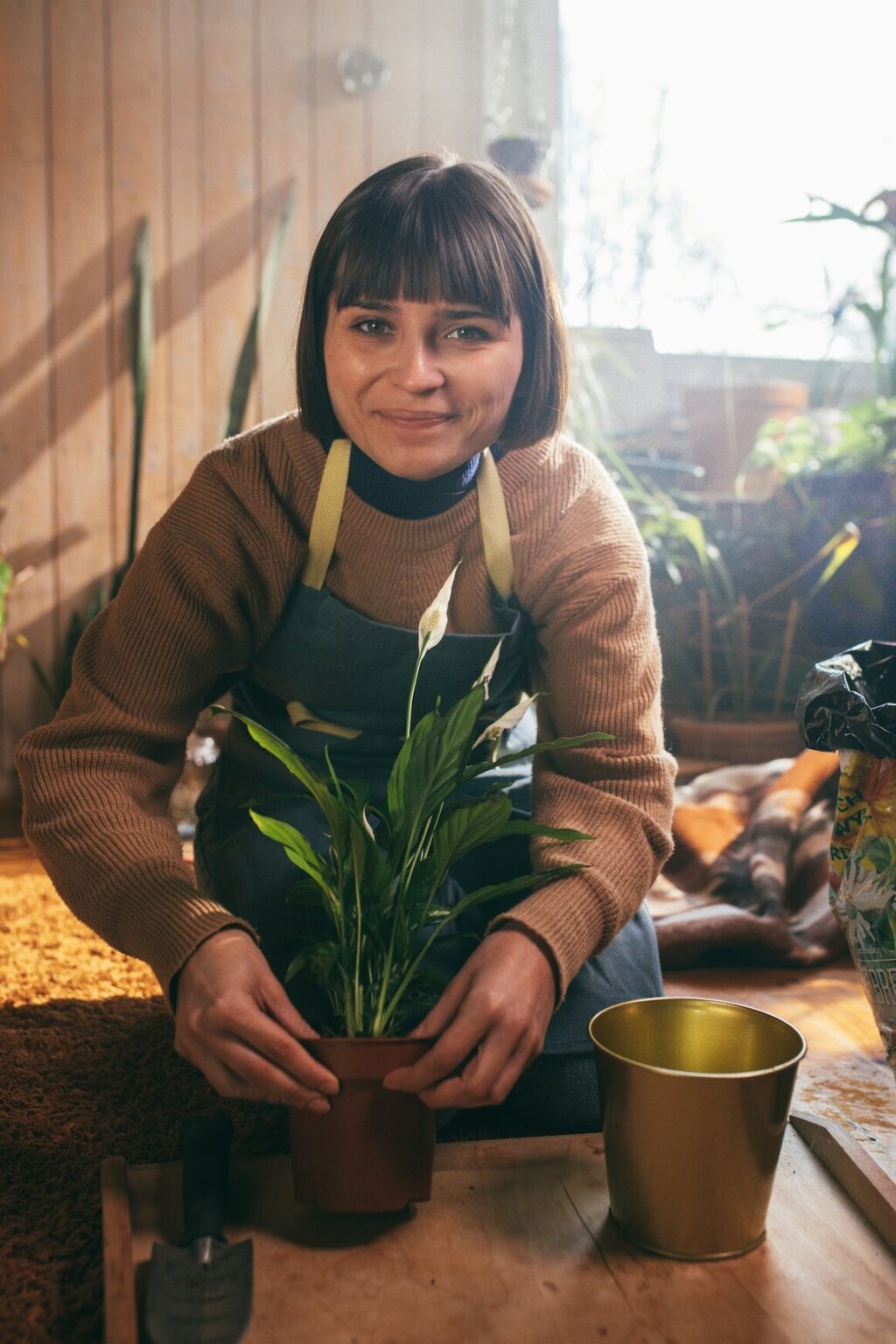 How to Propagate Peace Lily in Two Methods — PlantWorksNYC